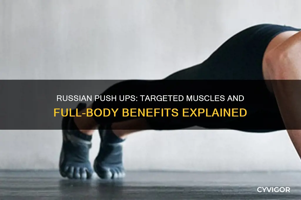 Russian Push Ups: Targeted Muscles And Full-Body Benefits Explained ...