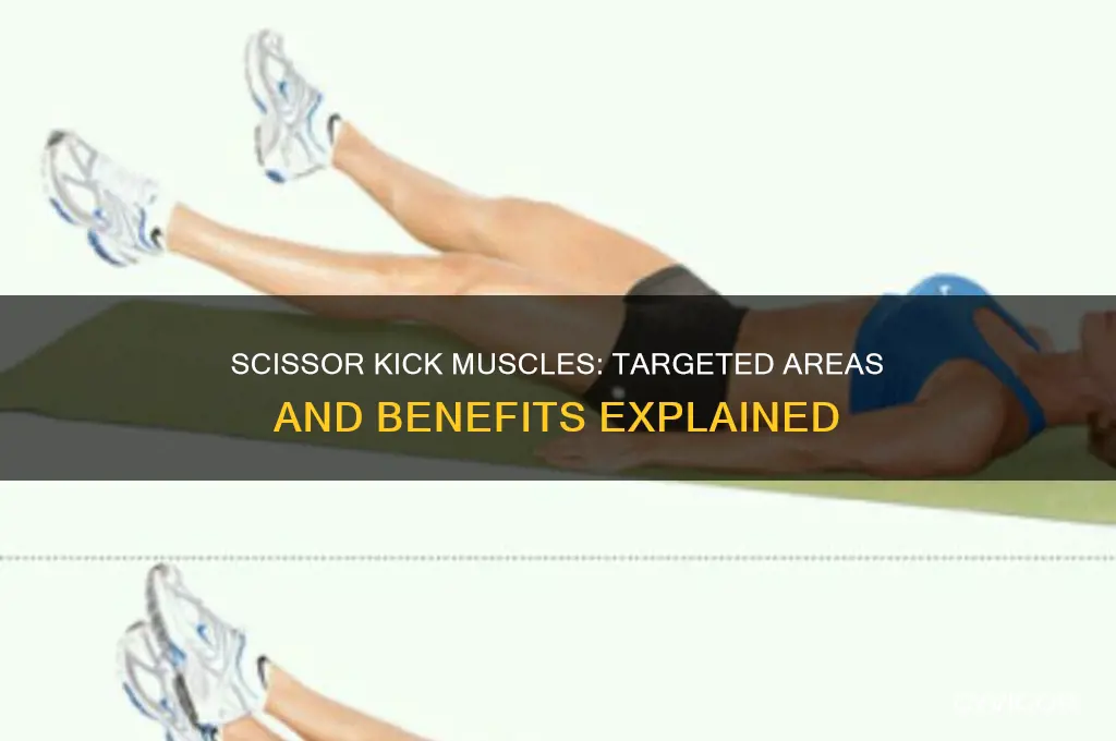 Scissor Kick Muscles: Targeted Areas And Benefits Explained | CyVigor