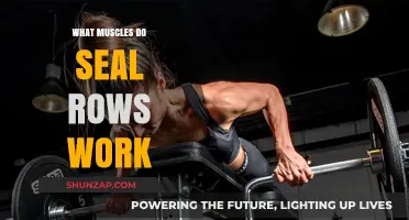 Seal Jacks: Target Muscles And Full-Body Benefits Explained | CyVigor