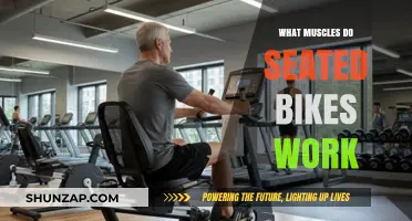 Seated Calf Raises: Targeted Muscles And Effective Lower Leg Workout ...