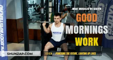 Seated Leg Lifts: Targeted Muscles And Benefits Explained | CyVigor