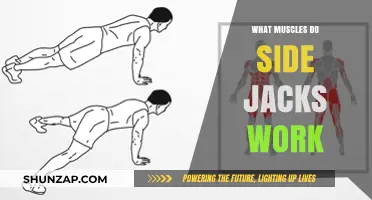 Shoulder Flys: Targeted Muscles And Benefits For Stronger Upper Body ...