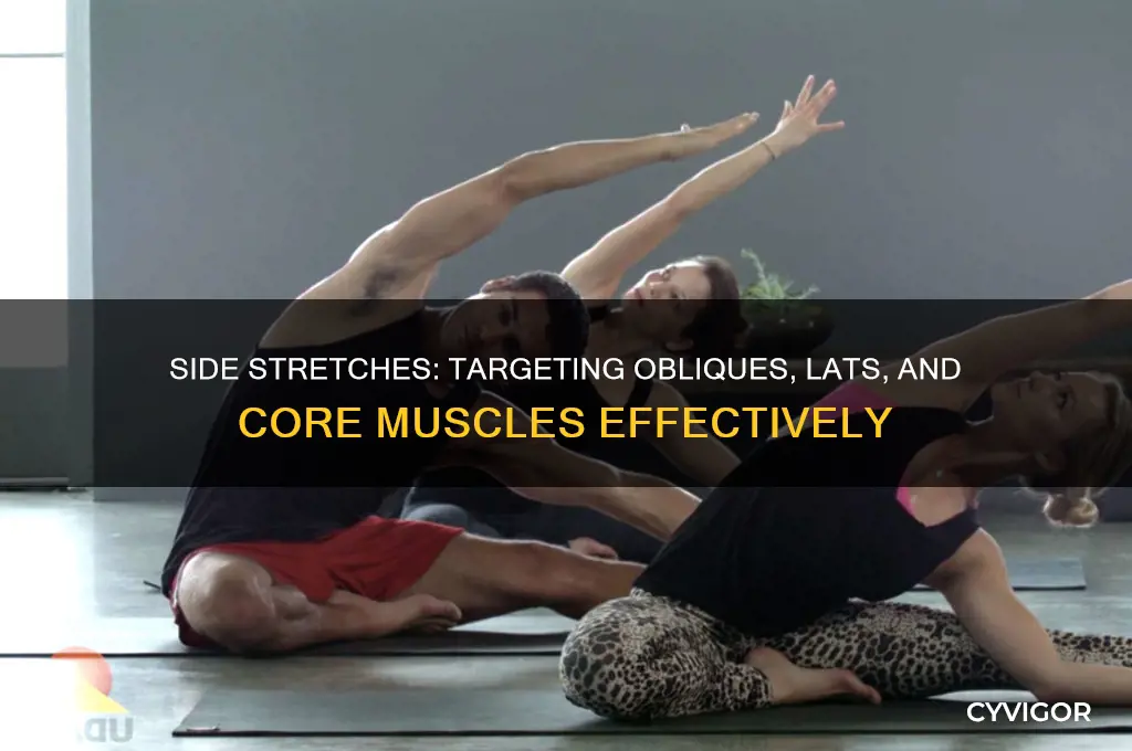 Side Stretches: Targeting Obliques, Lats, And Core Muscles Effectively ...