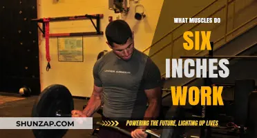 Sit To Stand: Muscles Engaged In This Essential Movement | CyVigor