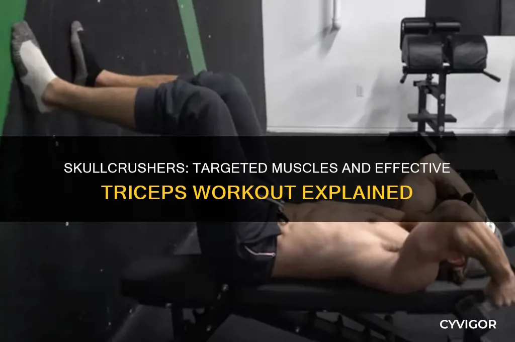 Skullcrushers: Targeted Muscles And Effective Triceps Workout Explained ...