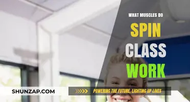 Sprinting's Power: Muscles Engaged For Speed And Strength Explained ...