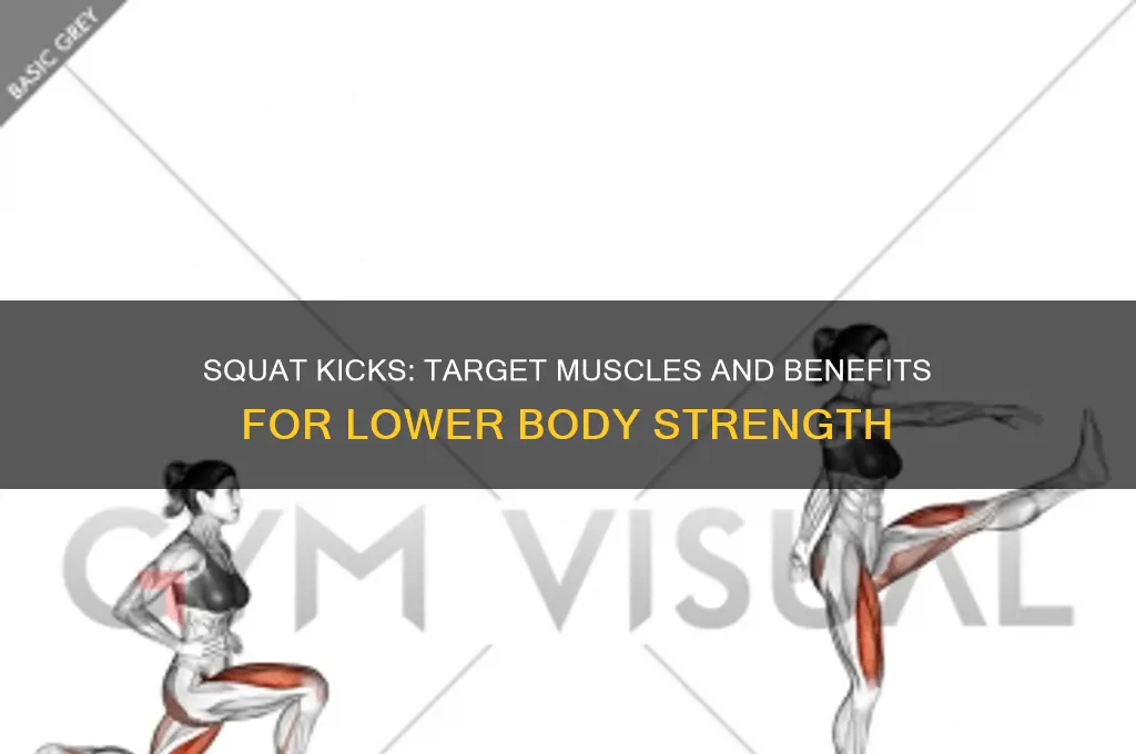 Squat Kicks: Target Muscles And Benefits For Lower Body Strength | CyVigor