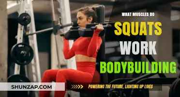 Squat Muscles Worked: Illustrated Guide To Key Muscle Groups | CyVigor