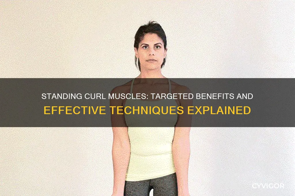 Standing Curl Muscles: Targeted Benefits And Effective Techniques ...