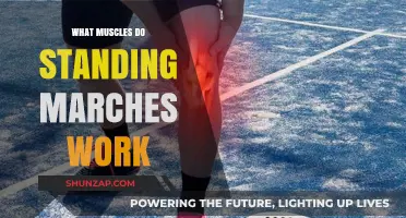 Step Downs: Targeted Muscles And Benefits For Lower Body Strength | CyVigor