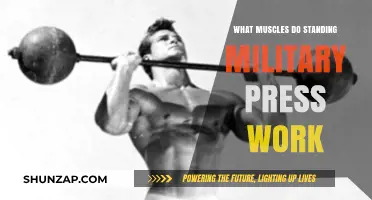 Step Jacks: Target Muscles And Full-Body Benefits Explained | CyVigor