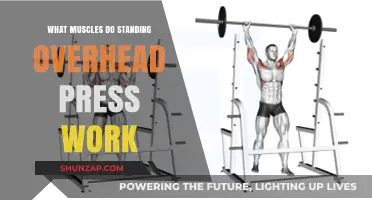 Standing Knee Lifts: Targeted Muscles And Core Strength Benefits | CyVigor