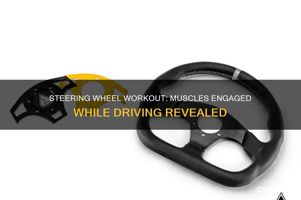Steering Wheel Workout: Muscles Engaged While Driving Revealed | CyVigor