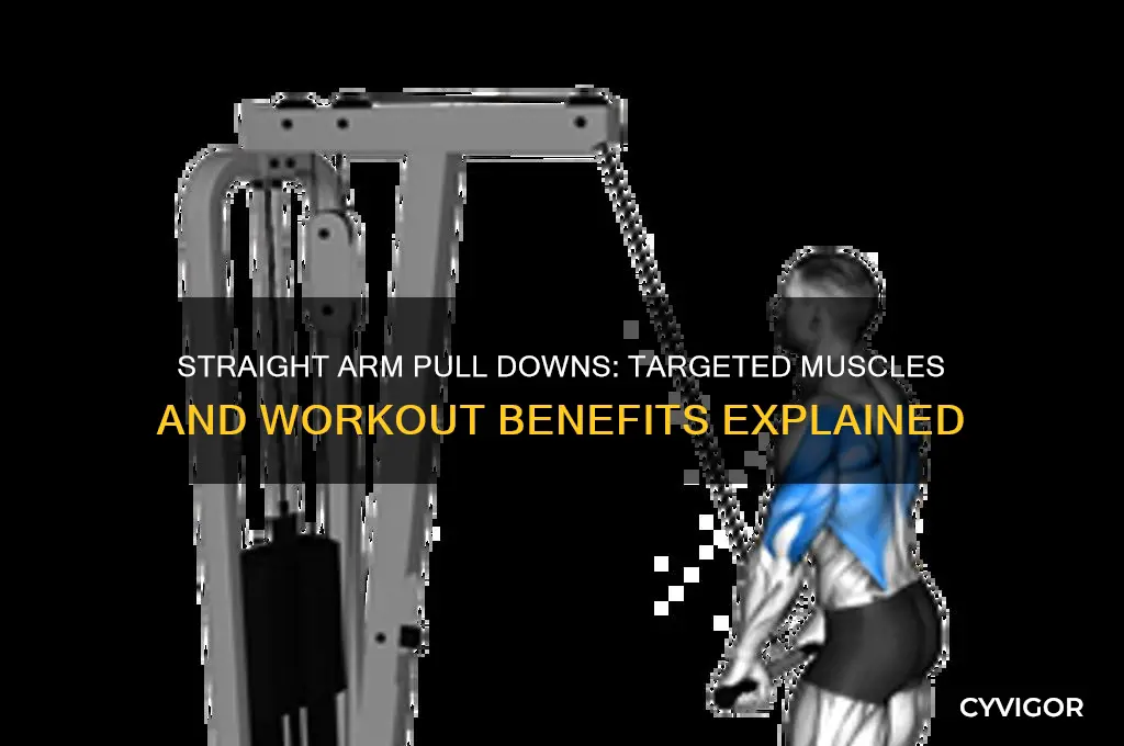 Straight Arm Pull Downs: Targeted Muscles And Workout Benefits ...