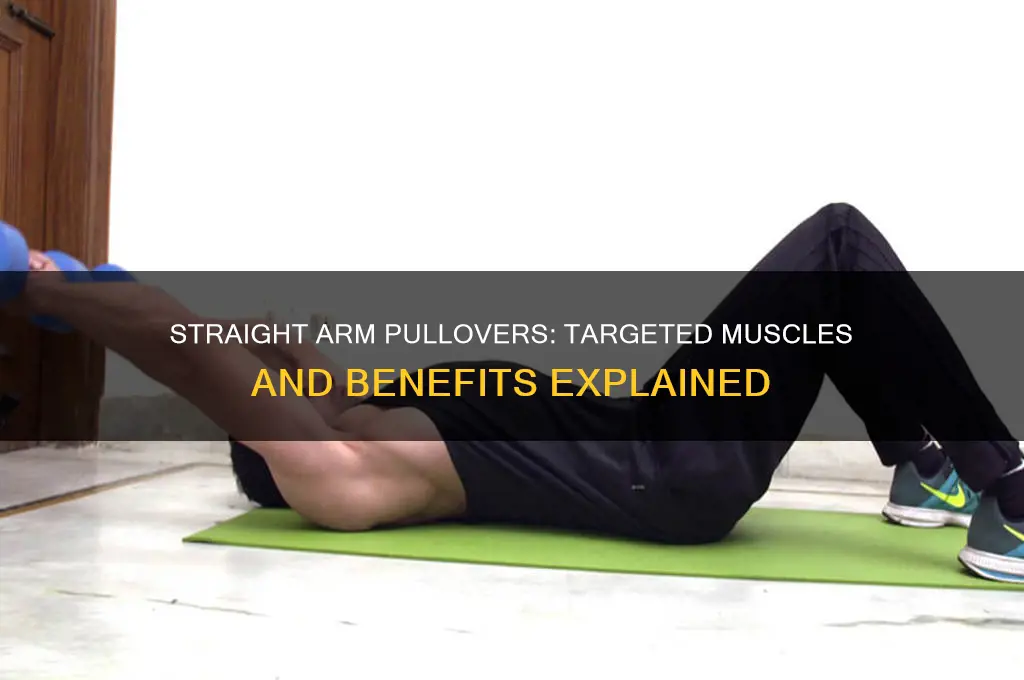 Straight Arm Pullovers: Targeted Muscles And Benefits Explained | CyVigor