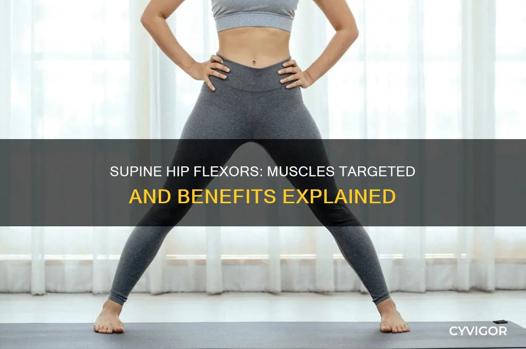 Supine Hip Flexors: Muscles Targeted And Benefits Explained | CyVigor