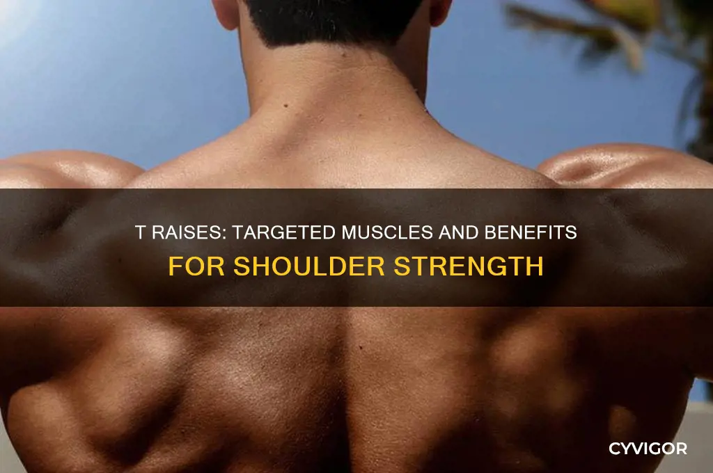 T Raises: Targeted Muscles And Benefits For Shoulder Strength | CyVigor