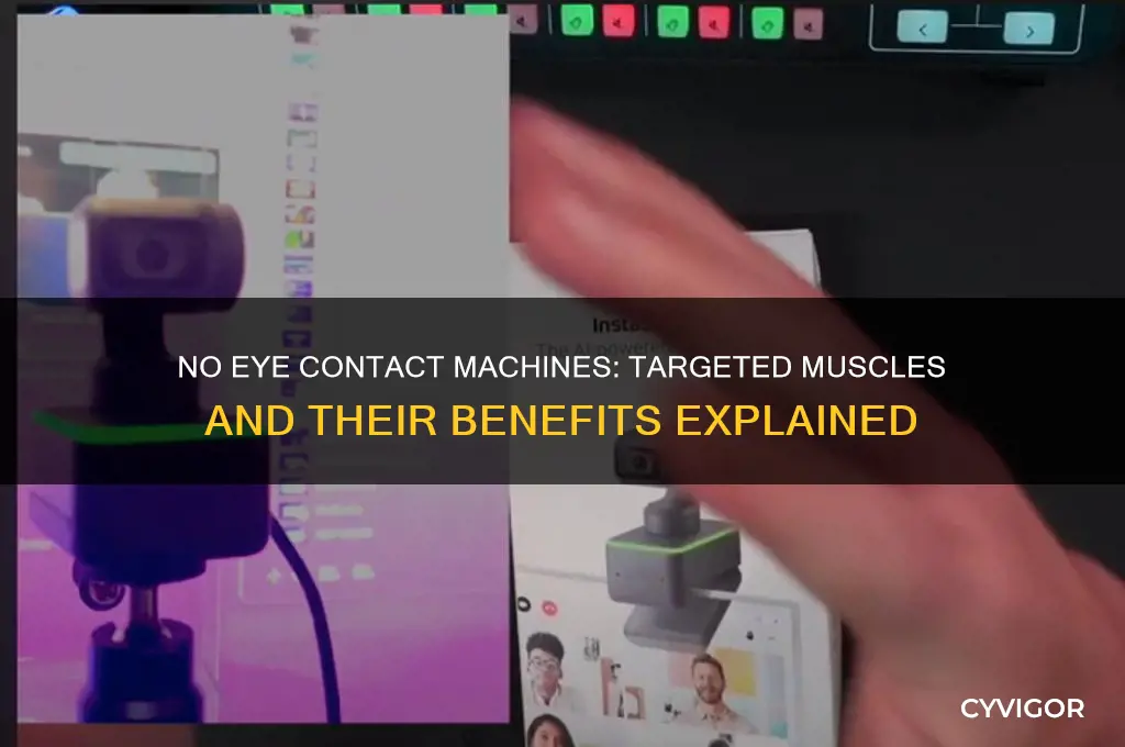 No Eye Contact Machines: Targeted Muscles And Their Benefits Explained ...