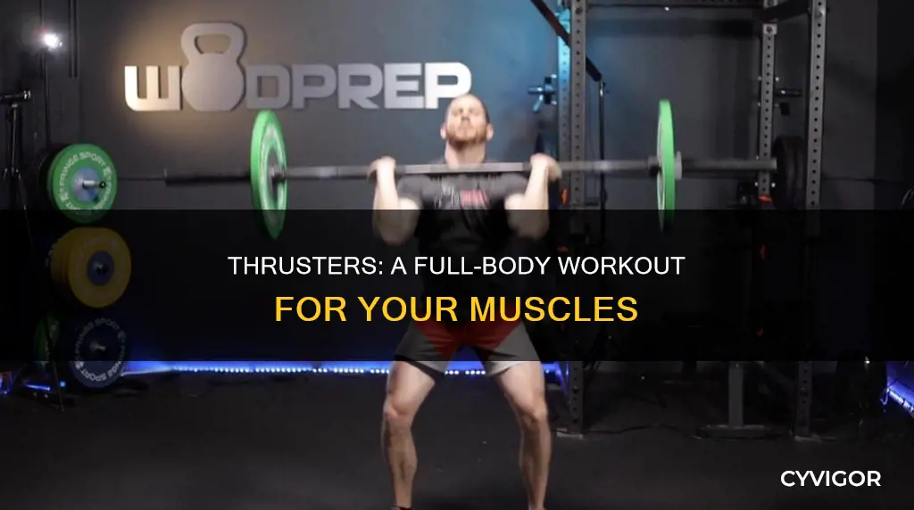 Thrusters: A Full-Body Workout For Your Muscles | CyVigor