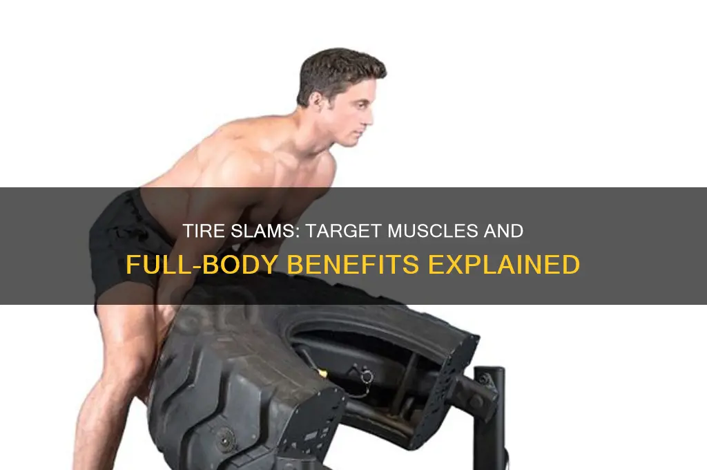 Tire Slams: Target Muscles And Full-Body Benefits Explained | CyVigor