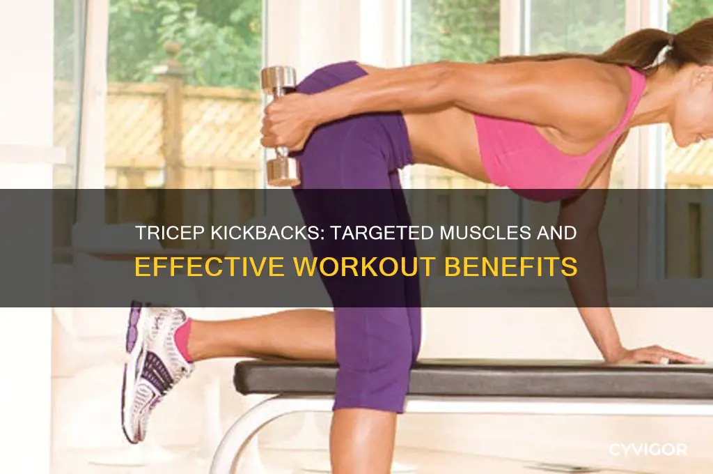 Tricep Kickbacks: Targeted Muscles And Effective Workout Benefits | CyVigor