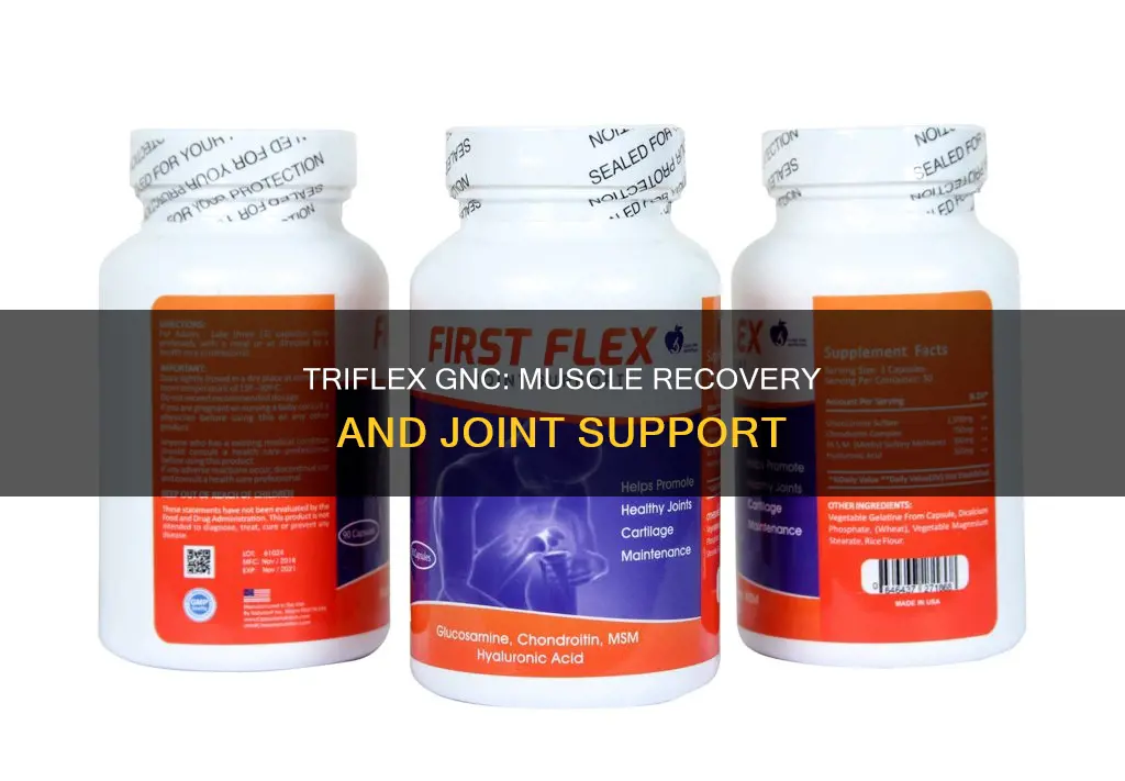 Triflex Gnc: Muscle Recovery And Joint Support | CyVigor