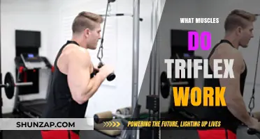 Trap Bar Jumps: Targeted Muscles And Full-Body Benefits Explained | CyVigor