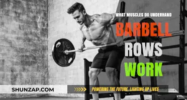 Trx Rows: Target Muscles And Full-Body Benefits Explained | CyVigor