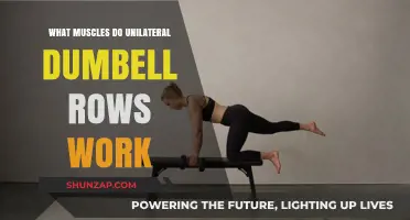 Underhand Pull-Ups: Targeted Muscles And Strength Benefits Explained ...