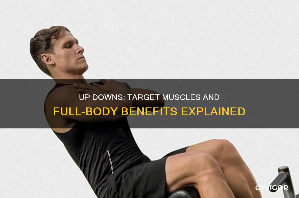 Up Downs: Target Muscles And Full-Body Benefits Explained | CyVigor