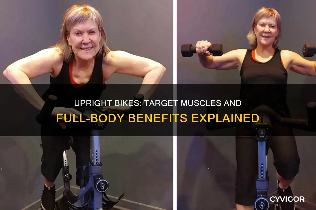 Upright Bikes: Target Muscles And Full-Body Benefits Explained | CyVigor