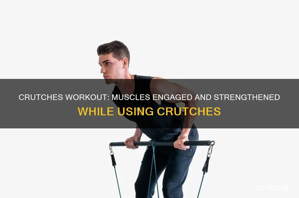 Crutches Workout: Muscles Engaged And Strengthened While Using Crutches ...