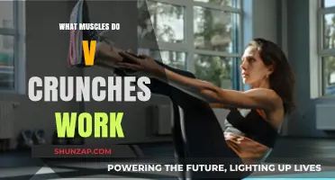 V-Ups: Targeted Muscles And Core-Strengthening Benefits Explained | CyVigor