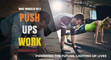 V-Ups: Targeted Muscles And Core-Strengthening Benefits Explained | CyVigor