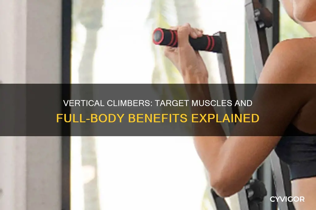 Vertical Climbers: Target Muscles And Full-Body Benefits Explained ...