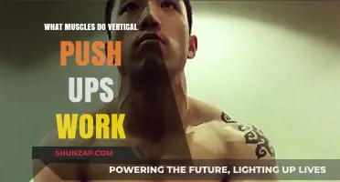 Vertical Jumps: Key Muscles Engaged For Explosive Power And Height ...