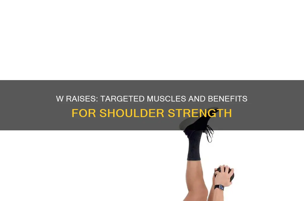 W Raises: Targeted Muscles And Benefits For Shoulder Strength | CyVigor