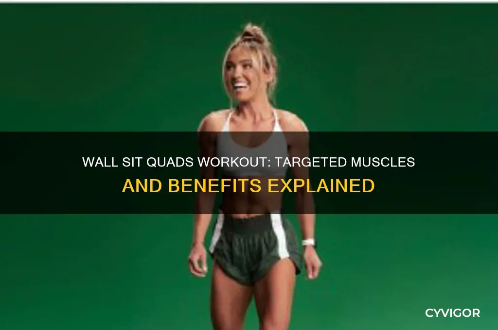 Wall Sit Quads Workout: Targeted Muscles And Benefits Explained | CyVigor