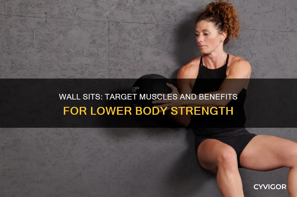 Wall Sits: Target Muscles And Benefits For Lower Body Strength | CyVigor