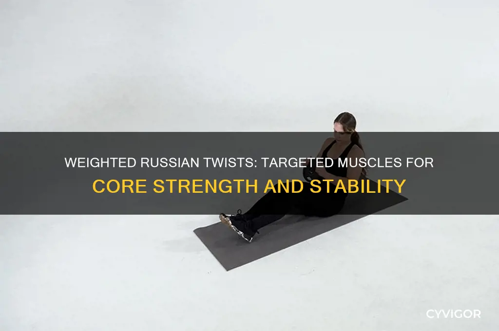 Weighted Russian Twists: Targeted Muscles For Core Strength And ...