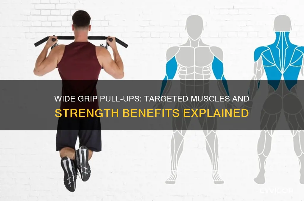 Wide Grip Pull-Ups: Targeted Muscles And Strength Benefits Explained ...