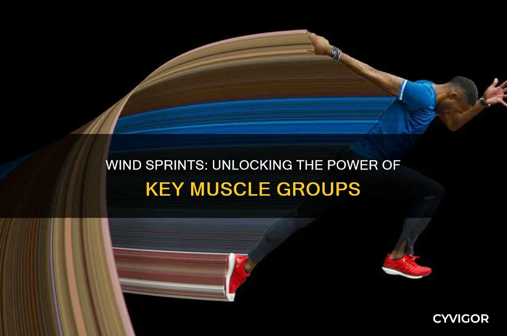 Wind Sprints: Unlocking The Power Of Key Muscle Groups | CyVigor