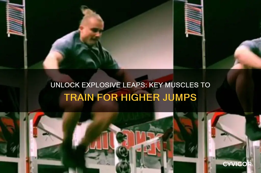 Unlock Explosive Leaps: Key Muscles To Train For Higher Jumps | CyVigor