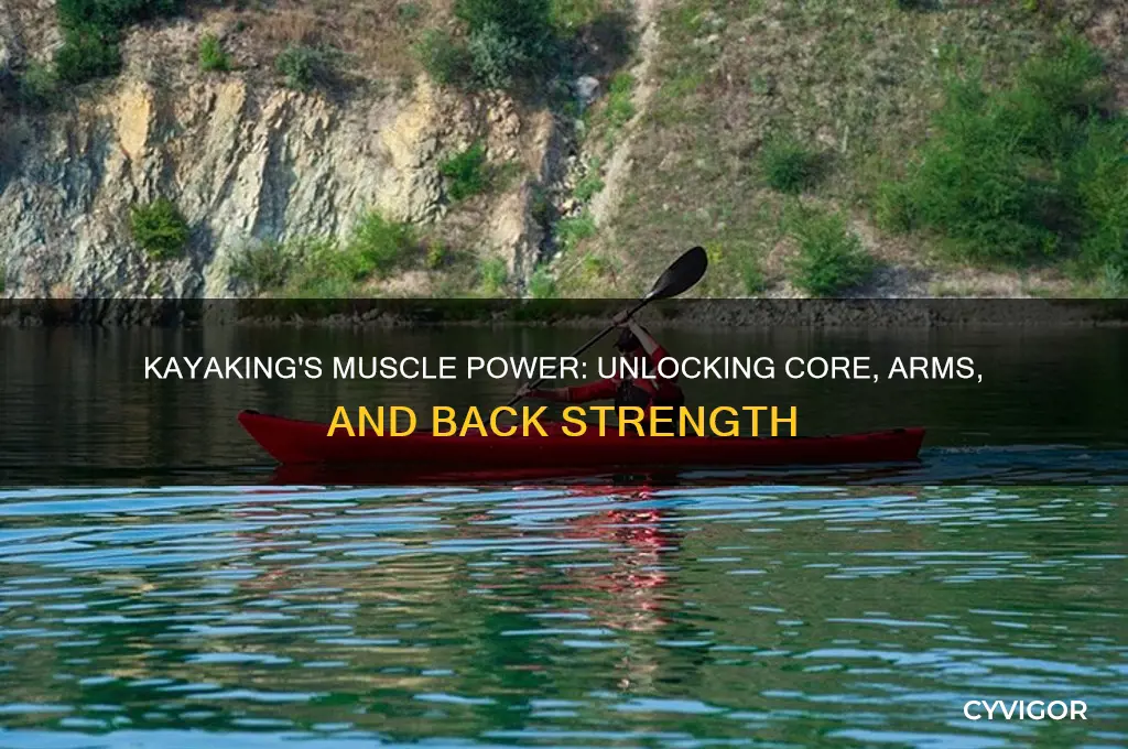 Kayaking's Muscle Power: Unlocking Core, Arms, And Back Strength | CyVigor