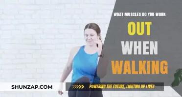 Squats: Target Muscles And Full-Body Benefits Explained | CyVigor