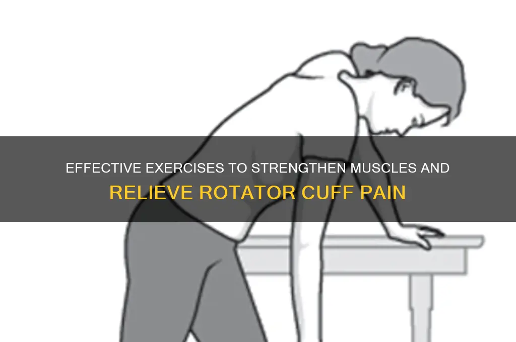 Effective Exercises To Strengthen Muscles And Relieve Rotator Cuff Pain ...