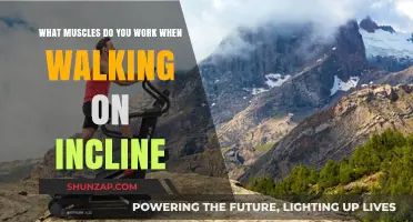 Walking's Muscle Power: Unveiling The Key Muscles Engaged In Every Step ...
