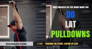 Lat Pulldowns: Targeted Muscles And Strength Benefits Explained | CyVigor