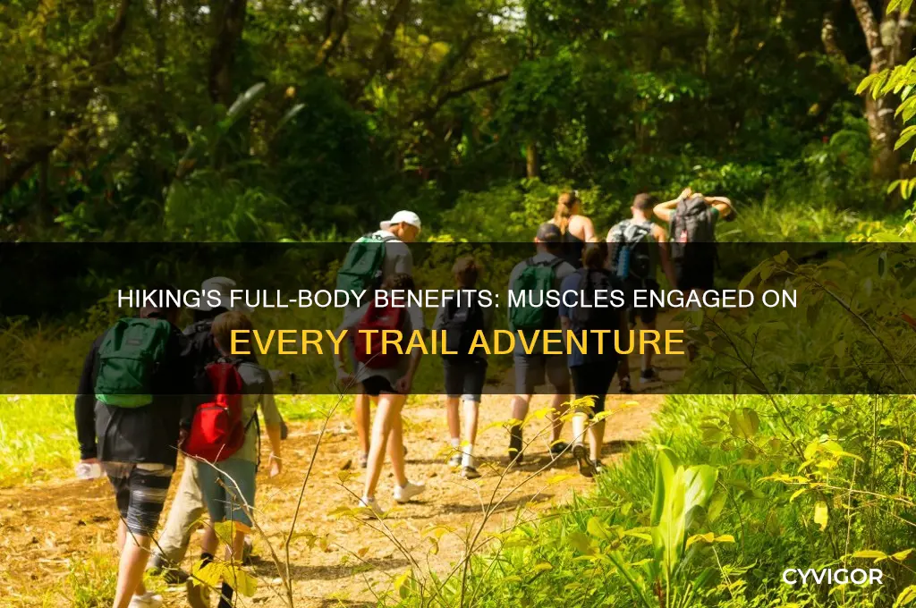 Hiking's Full-Body Benefits: Muscles Engaged On Every Trail Adventure ...