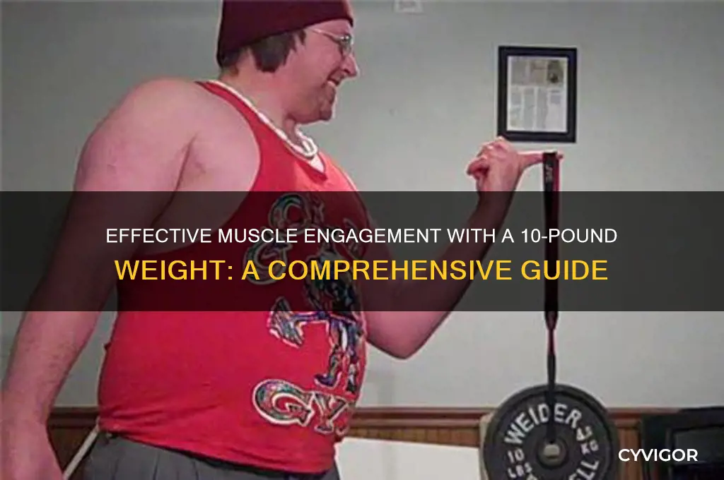 Effective Muscle Engagement With A 10-Pound Weight: A Comprehensive ...